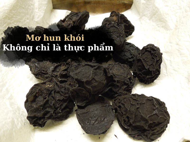 Quả Mơ Hun Khói Là Gì - Công Dụng Của Mơ Hun Khói