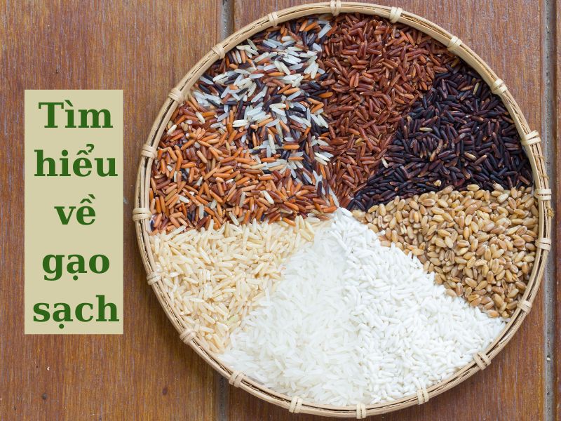 Gạo Sạch Là Gì - Mua Gạo Sạch Ở Đâu Uy Tín, Chất Lượng