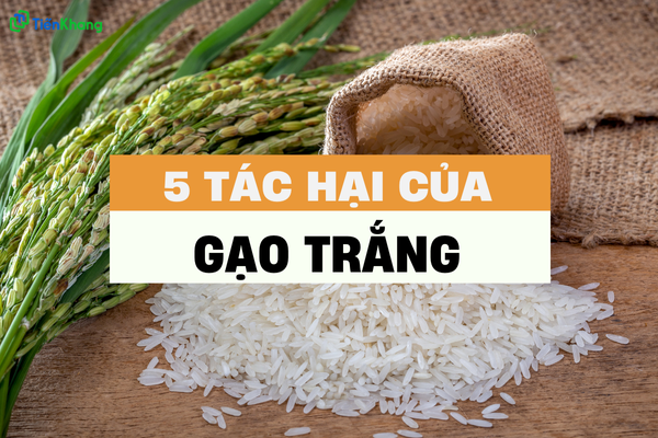 5 Tác Hại Của Gạo Trắng Đang Âm Thầm Hủy Hoại Cơ Thể Bạn