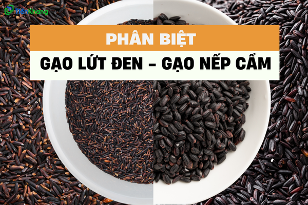 Gạo Lứt Đen Có Phải Là Gạo Nếp Cẩm Không?