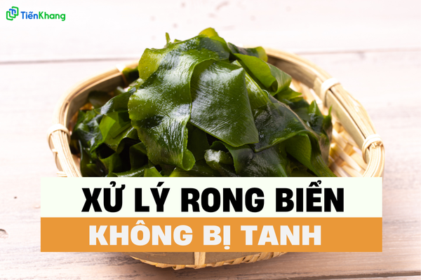 Cách chế biến rong biển tươi không tanh - Gợi ý các món ngon từ rong biển