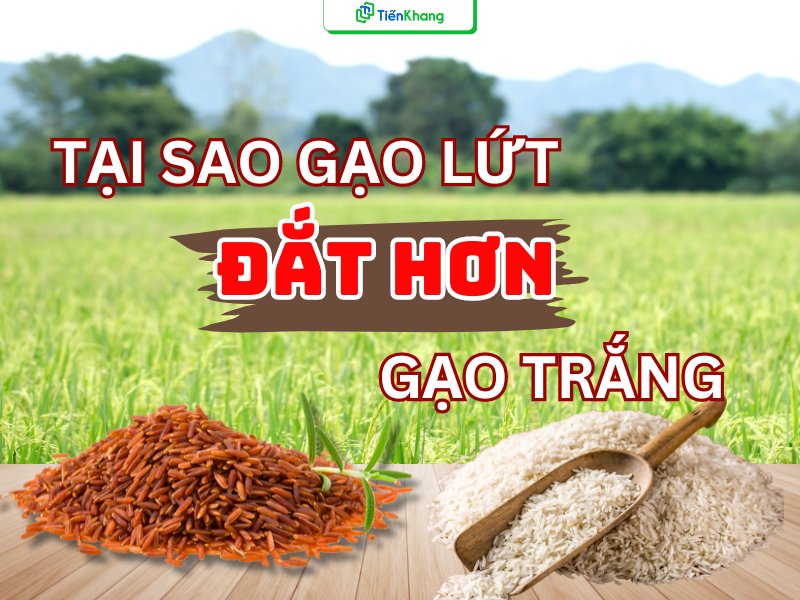 Tại Sao Gạo Lứt Đắt Hơn Gạo Trắng? Giá Gạo Lứt Bao Nhiêu?